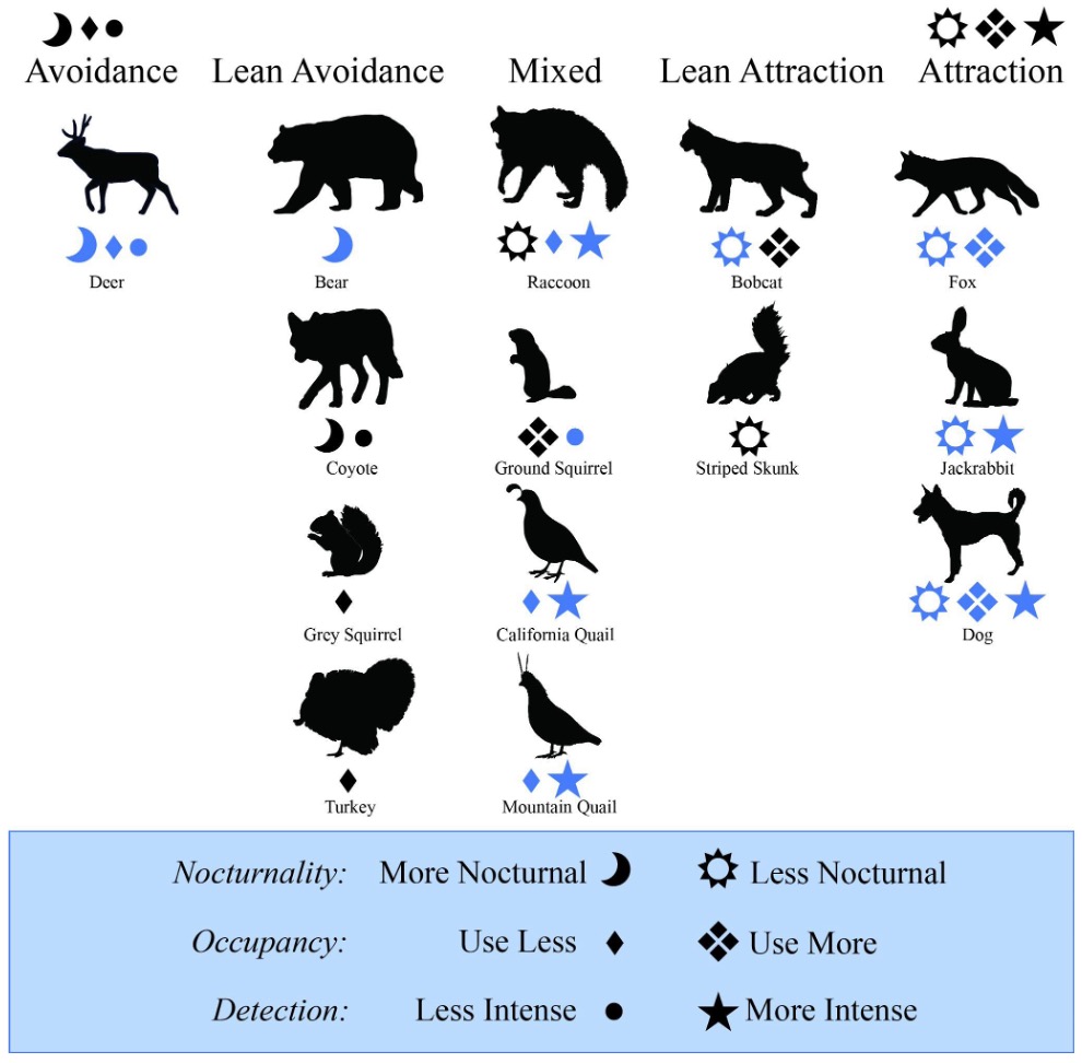 Space use and temporal patterns